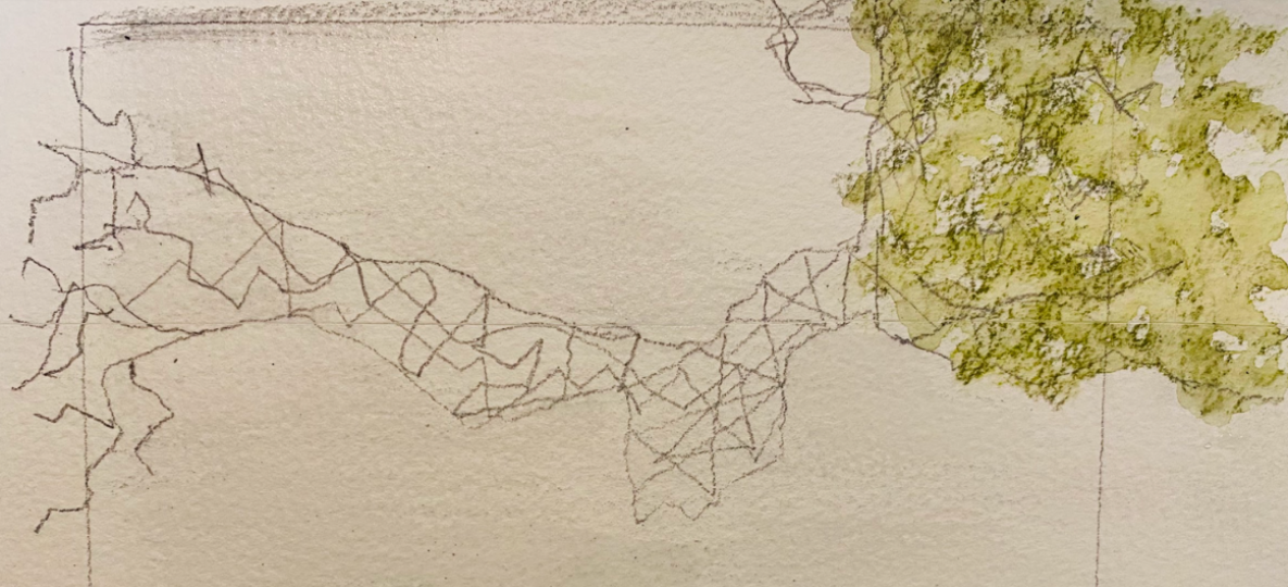 Stephanie Garon: Uprooted | Glen Echo Park